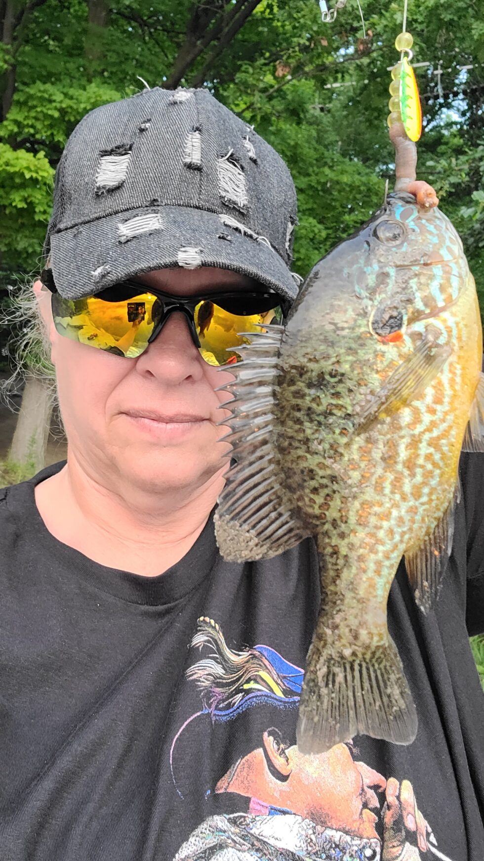 Sunfish on heart lake | OFAH TackleShare - presented by Ontario Power ...