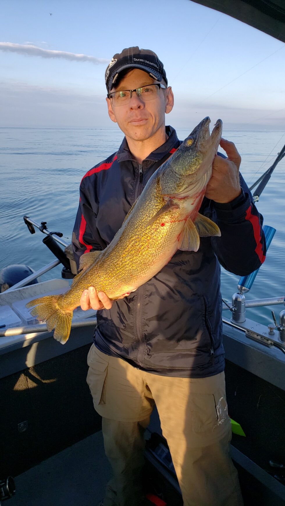 Lake Erie Gold | OFAH TackleShare