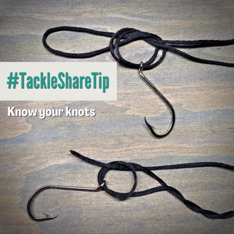 Activities & Resources | OFAH TackleShare