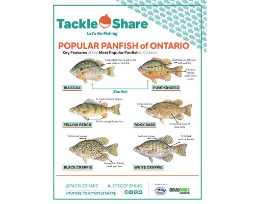 Activities & Resources | OFAH TackleShare